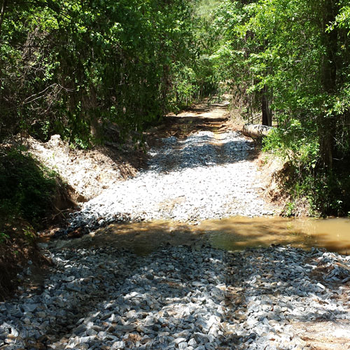 Forestland Improvement - Southern Forestry Consultants