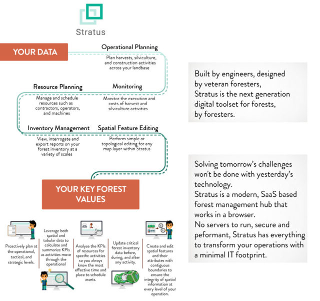 Forest Management Solutions | Southern Forestry Consultants