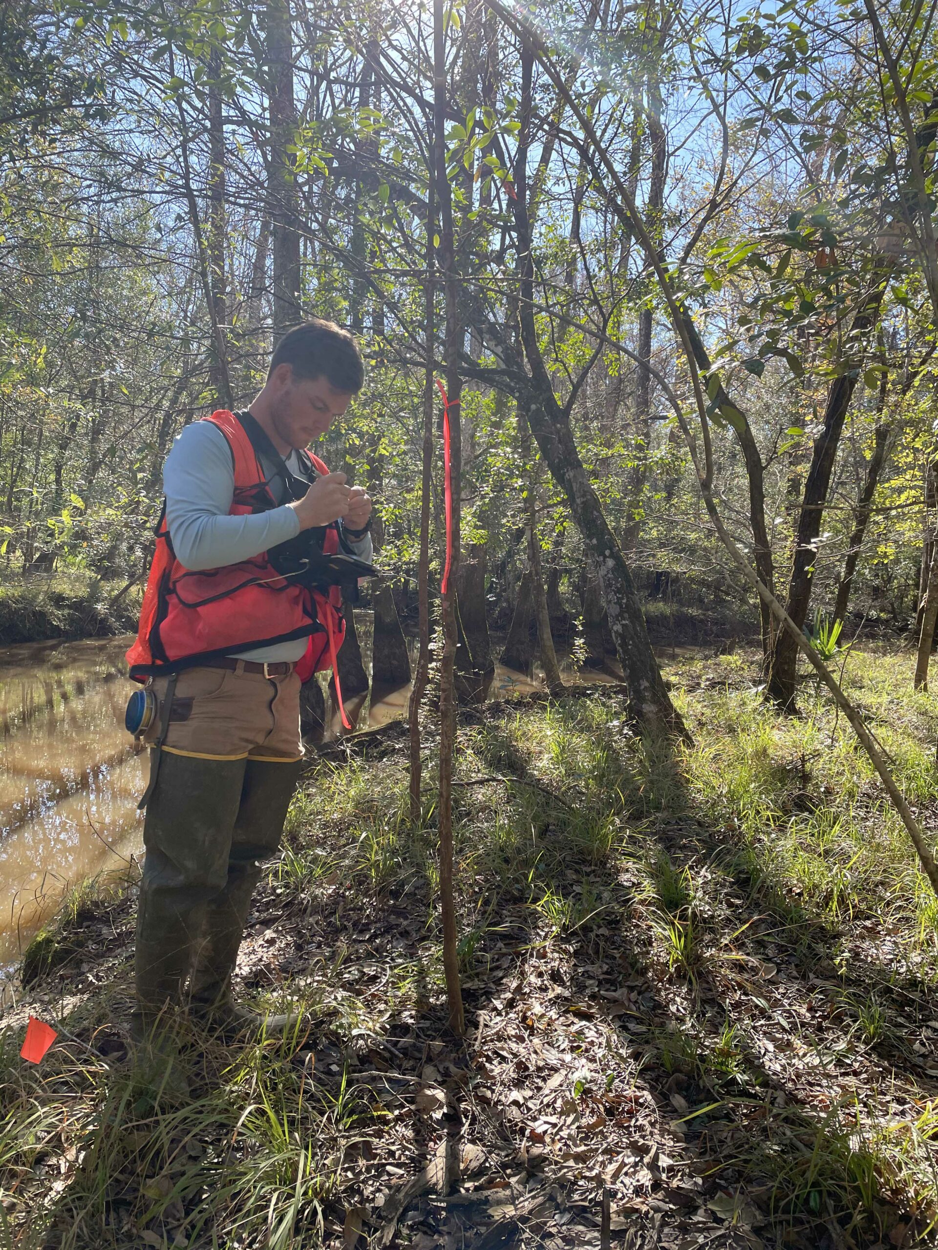 Digital Strategies for Natural Resources - Southern Forestry Consultants